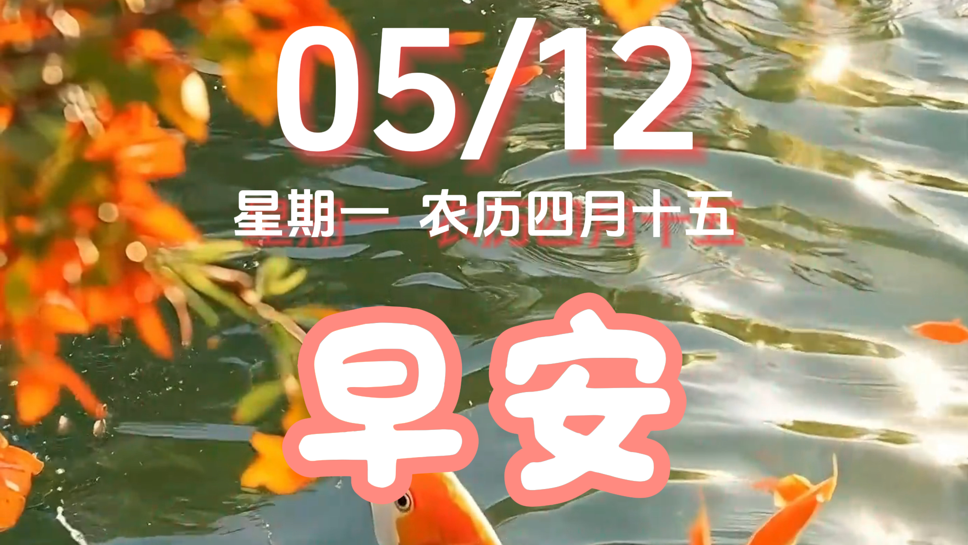 今天是5月12日，星期一 | 荔视频