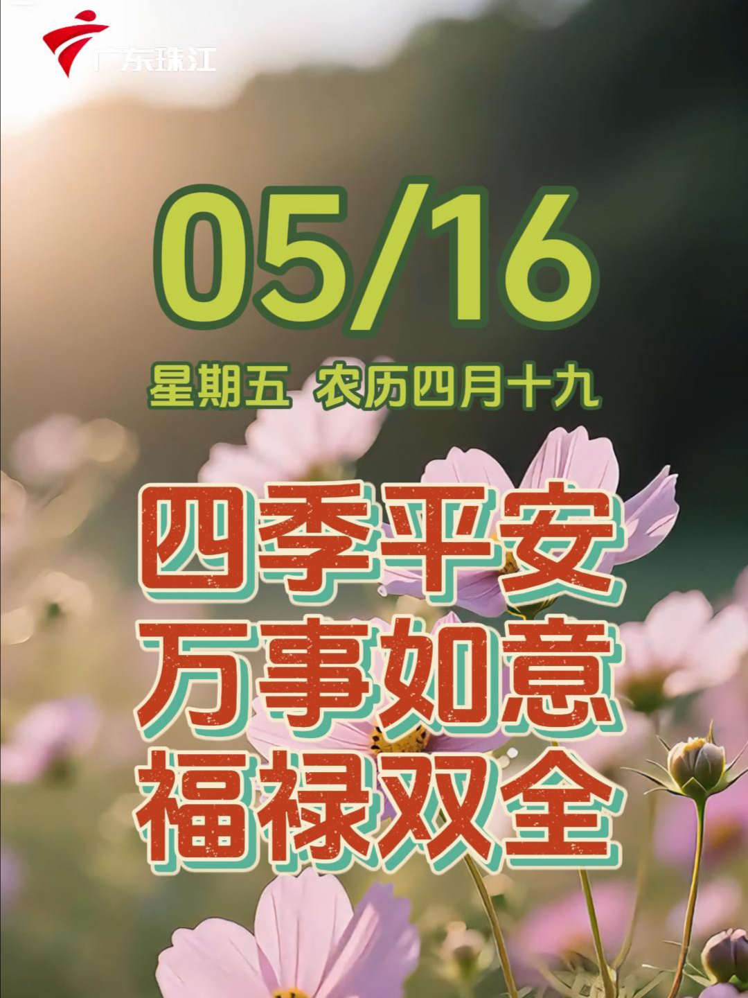 今天是5月16日，星期五 | 荔视频